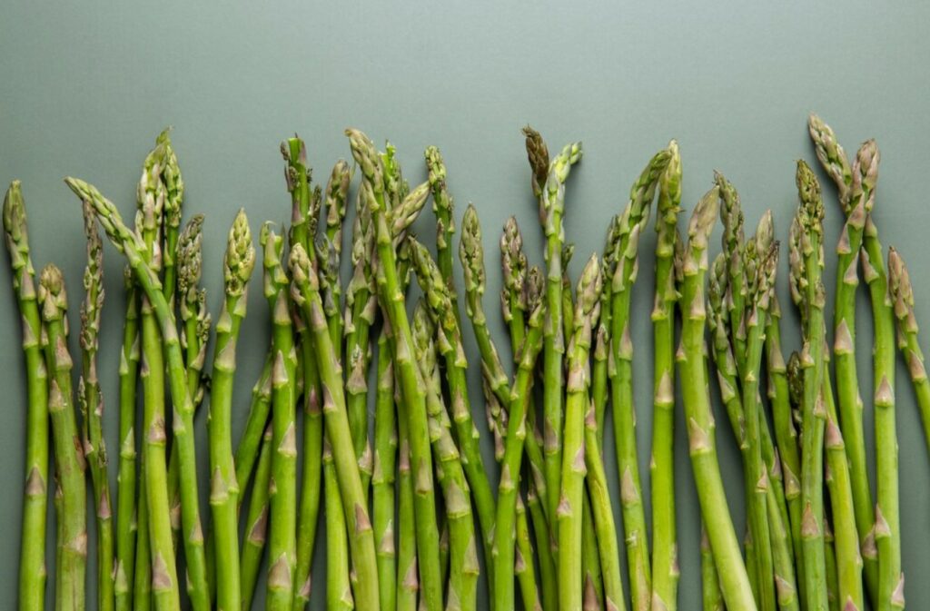 5 Jenis Tanaman Air untuk Menghiasi Rumah Anda